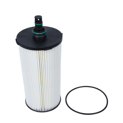 Fuel Filter 24470880 24137493 24137737 Fits For Volvo D13/ Mack MP8 ...