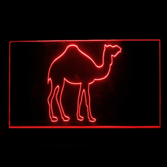 210235 Welcome Open Camel Desert Animals types Bar Display Neon Sign | eBay