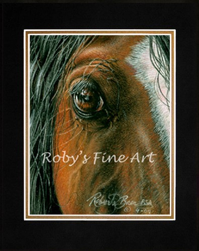 Bay Horse Art Print "Horse Eye" Giclee 8x10 Mat by Realism Artist Roby ...