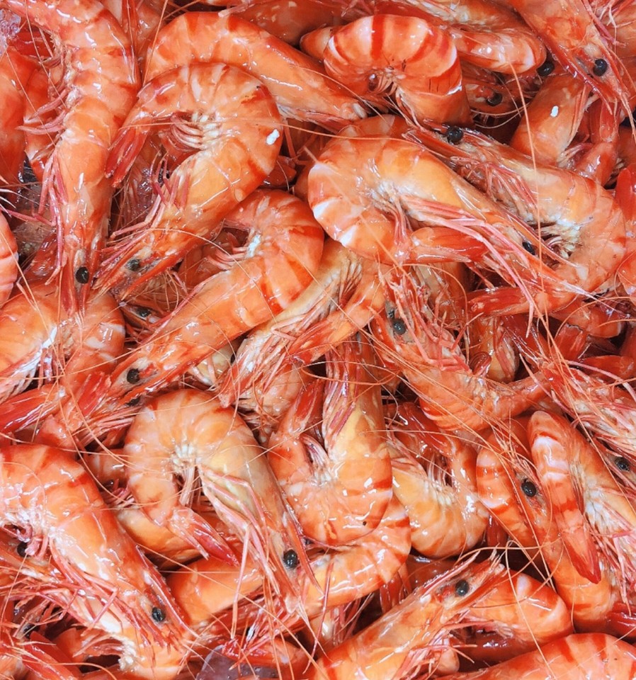 Sun Dried Salted Large Prawn Shrimps Seafood ( Isso ) 100% High Quality ...
