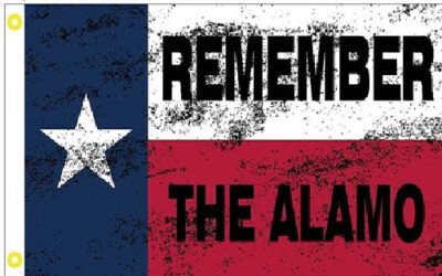 3X5 TEXAS REMEMBER THE ALAMO 5X3 100D FLAG BANNER W/ GROMMETS | eBay