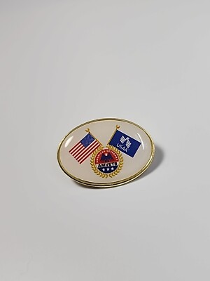 AMVETS USAA & USA Friendship Flags Pin American Veterans Service ...