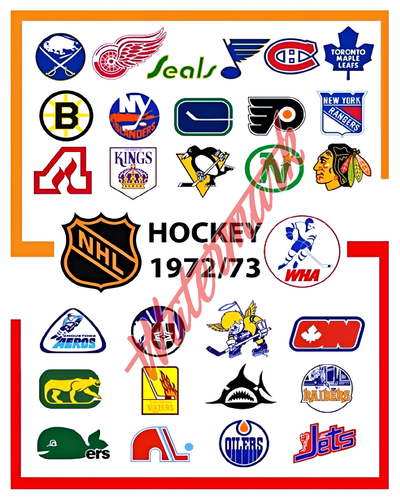 1972 - 73 Season NHL WHA Team Logo's Color REPRINT 8 X 10 Photo Picture ...