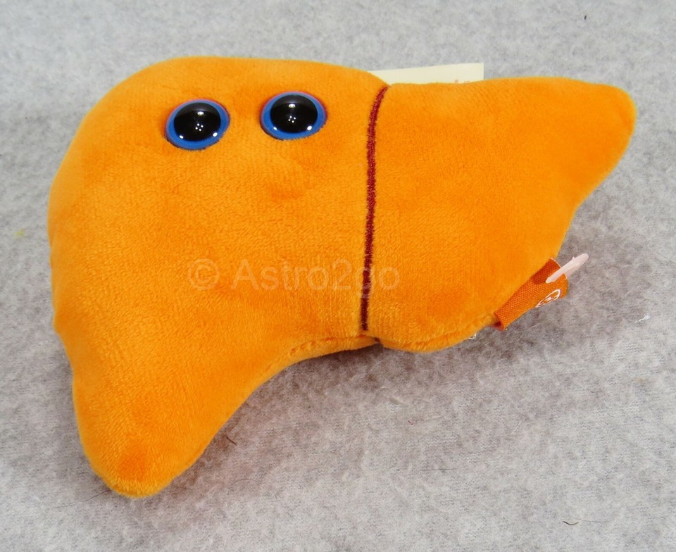 GIANT MICROBES-LIVER-Stuffed Plush Digestive Immune Endocrine Bile ...