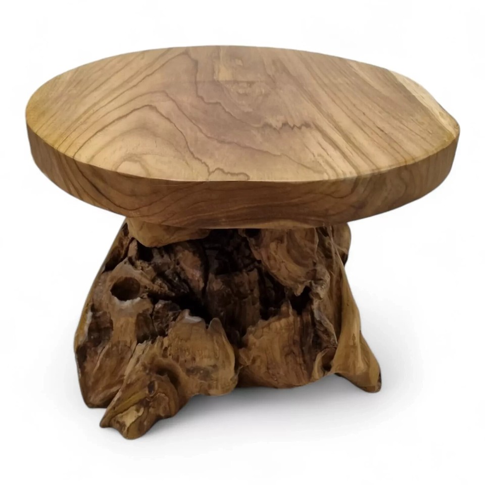 Side Table Teak Root Wood Solid Round Unique Couch- Night Table Flower ...