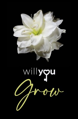Will You Grow Journal (White Camilia) by Angelique Medow | eBay