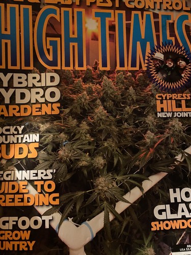 High Times Magazine July 2010 issue—bagged ! | eBay