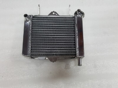 SUZUKI RAIDER R150 FI RADIATOR | eBay
