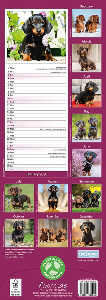 Dachshund Slim 2026 Calendar | Slimline Dog Breed Gift 20% OFF MULTI ...