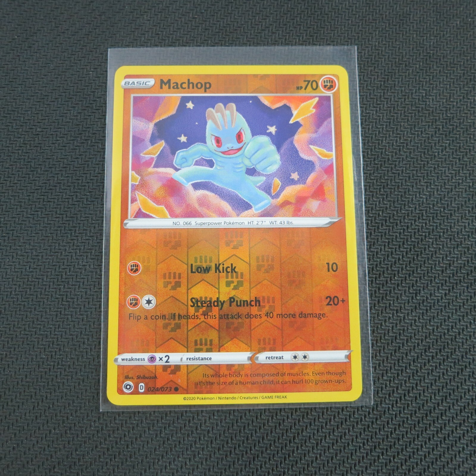 Machop 024/073 Reverse Holo Champion's Path Pokemon TCG Card NM | eBay