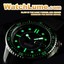 GLOW IN THE DARK PAINT WATCH LUME STRONTIUM LUMINOUS PASTE KIT REPAIR ...