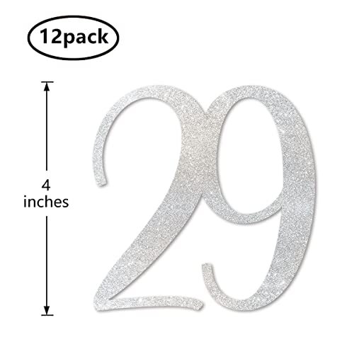 Silver Glitter 29 Cut-Out Numbers 29th Birthday Party Anniversary ...