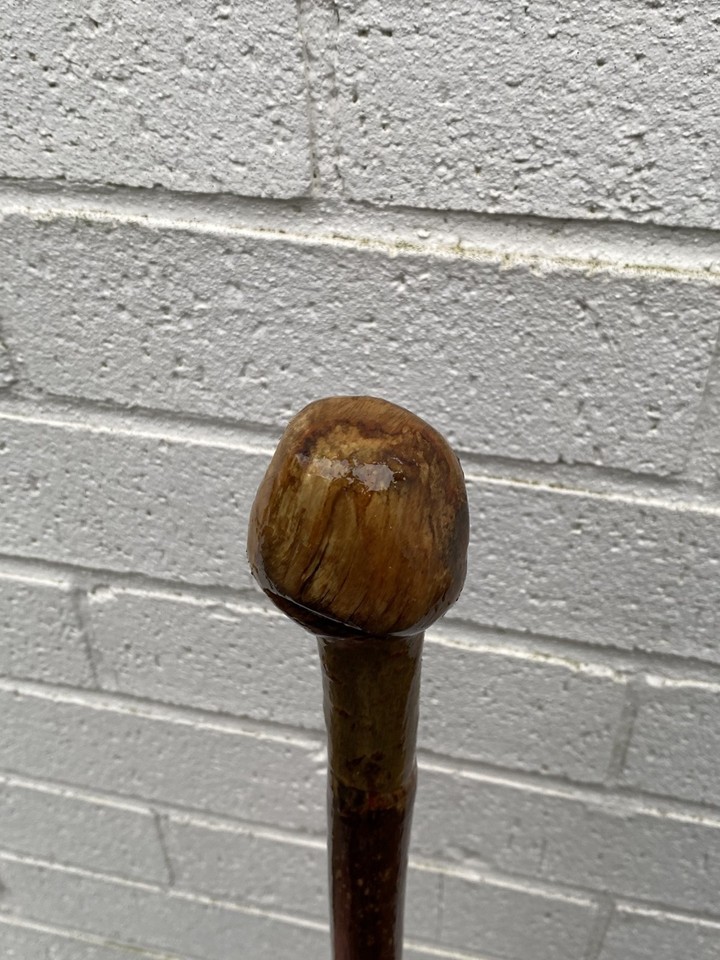 Handmade Hiking Stick made from Hazel with a Green Willow Pommel From ...