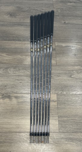True Temper Dynamic Gold XP S300 Steel Set Of 7 .355 5-GW Karma 360 ...