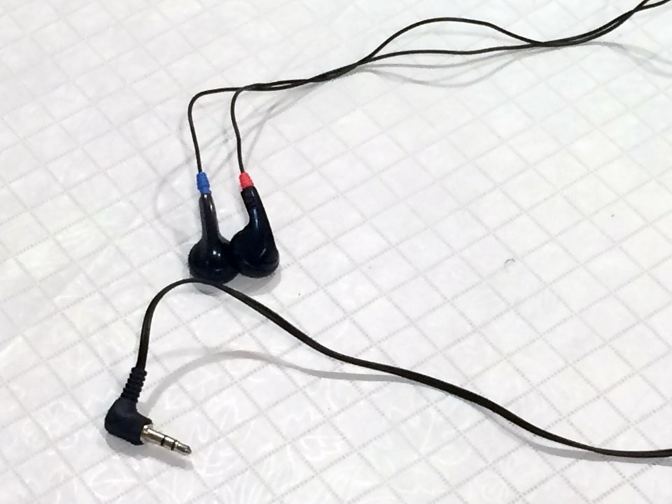 Black in ear simple basic Headphones lightning connectivity | eBay