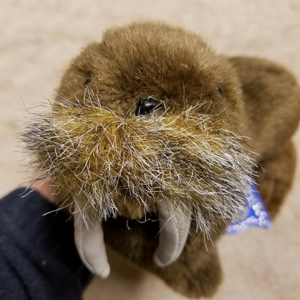 Sea World Walrus Plush Stuffed Animal Lovey | eBay