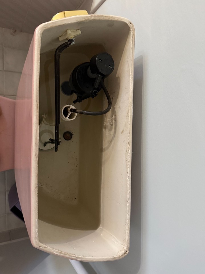 Kohler Raspberry Puree Elongated Vintage Toilet Bathroom | eBay