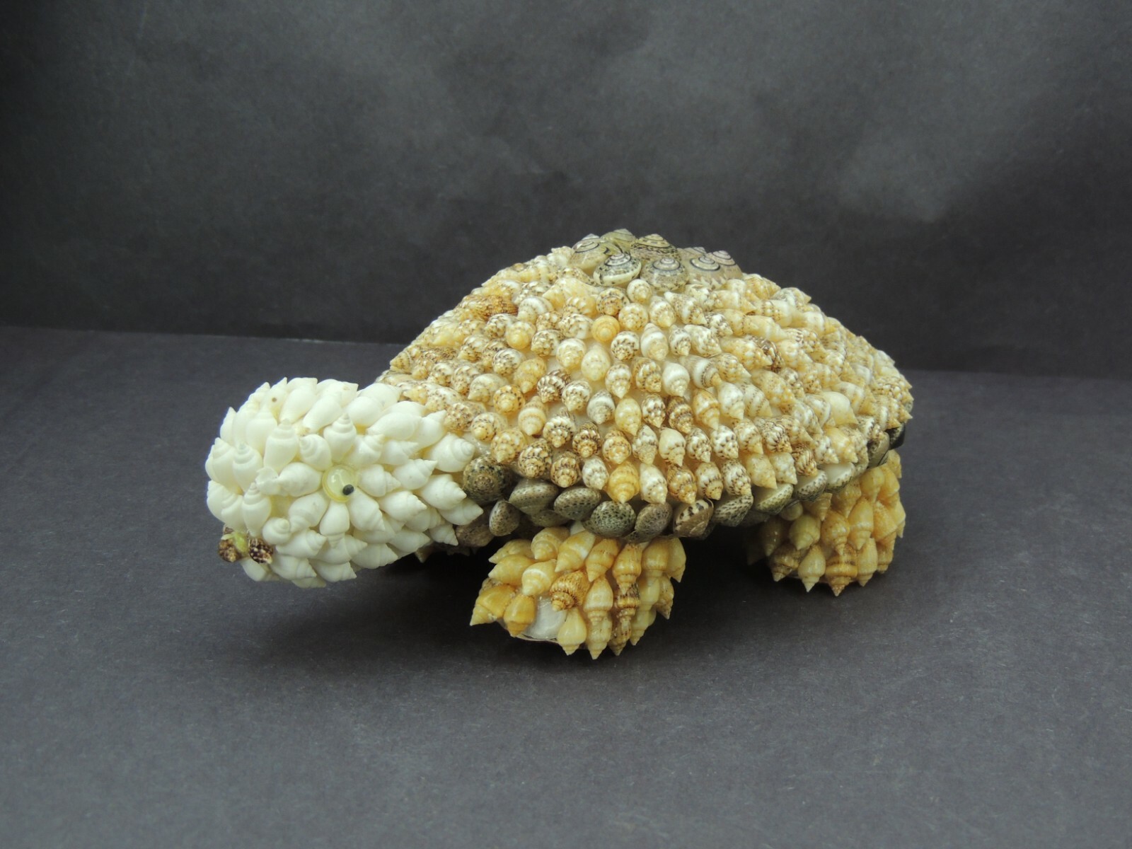 Sea Shell Turtle Tortoise Figurine Handmade made in Philippines Nancy ...