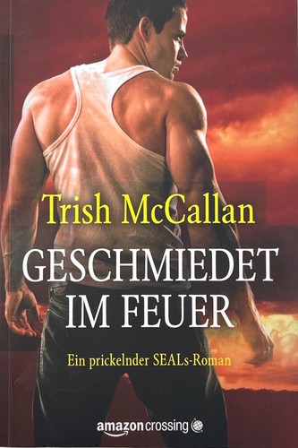 Geschmiedet im Feuer von Trish McCallan ☆Zustand Sehr Gut☆ | eBay.de