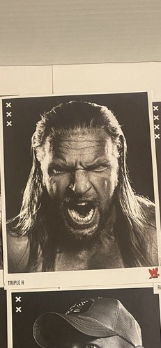 Triple H WWE black And White Photo Print. | eBay