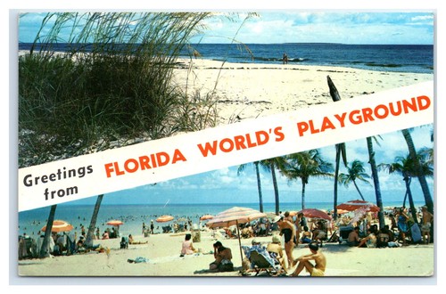 1985 FL Postcard- GREETINGS FROM Beach Swimming Sunbathing People | eBay