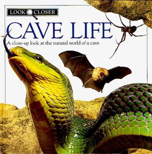 Cave Life (Look Closer) - Hardcover By Gunzi, Christiane - GOOD ...