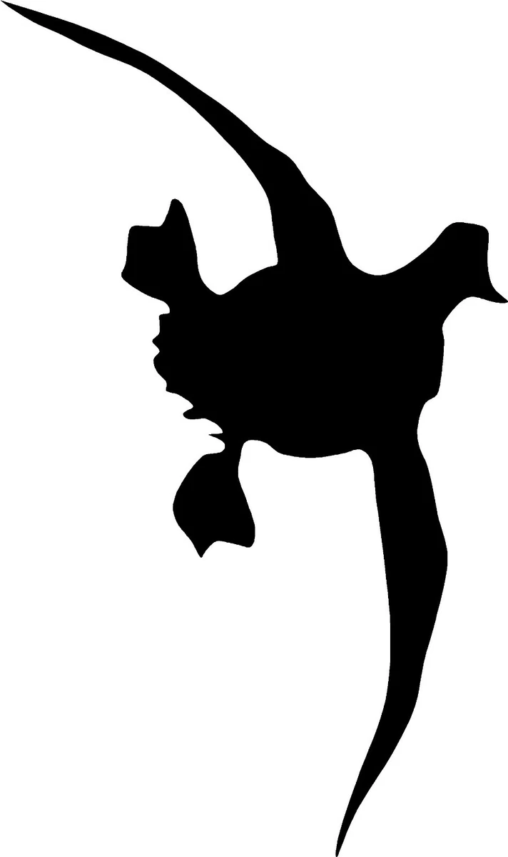 Cupped Duck Silhouette