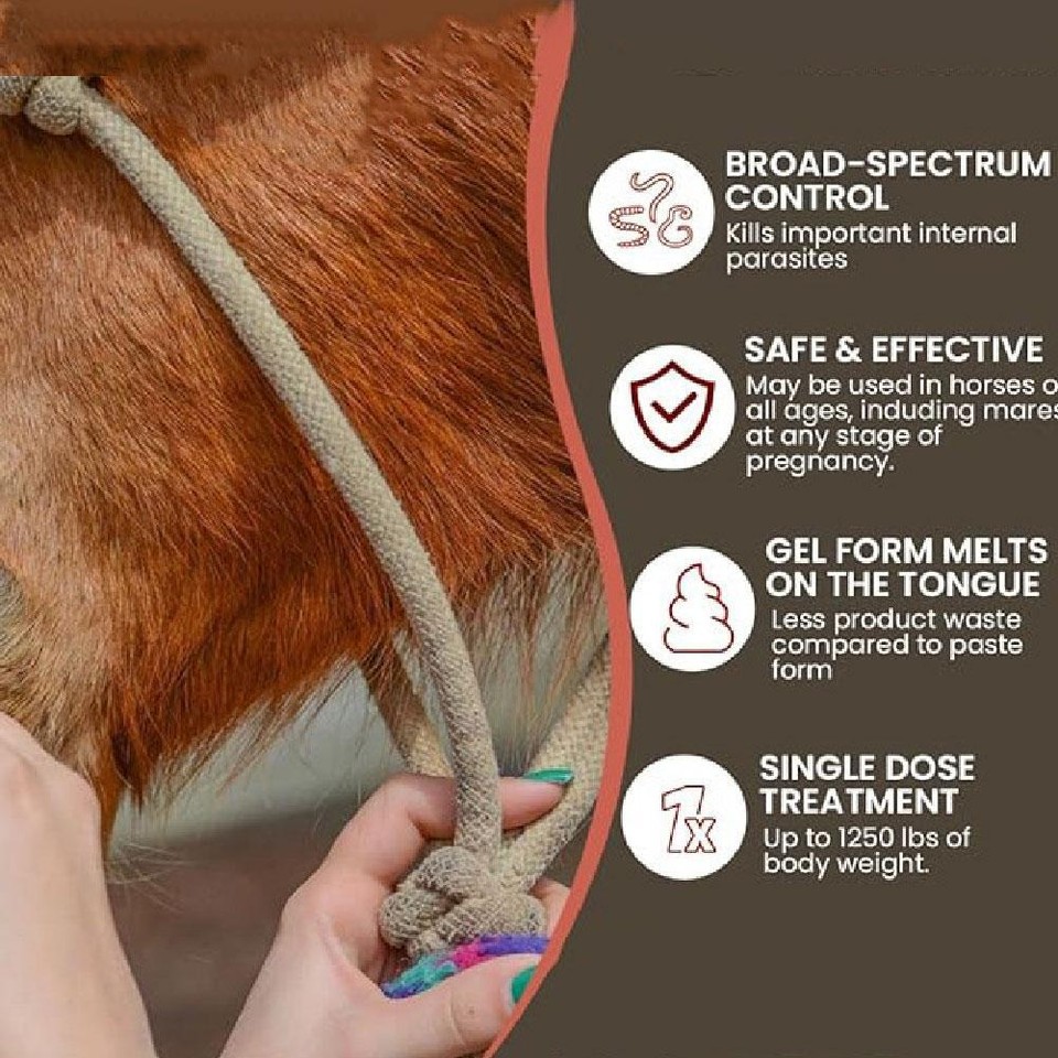20 PACKS Paste Horse Dewormer - Apple Flavor Exp 2027 New | eBay