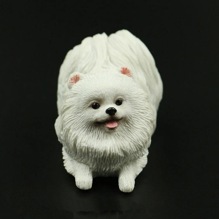 Mini Pomeranian White