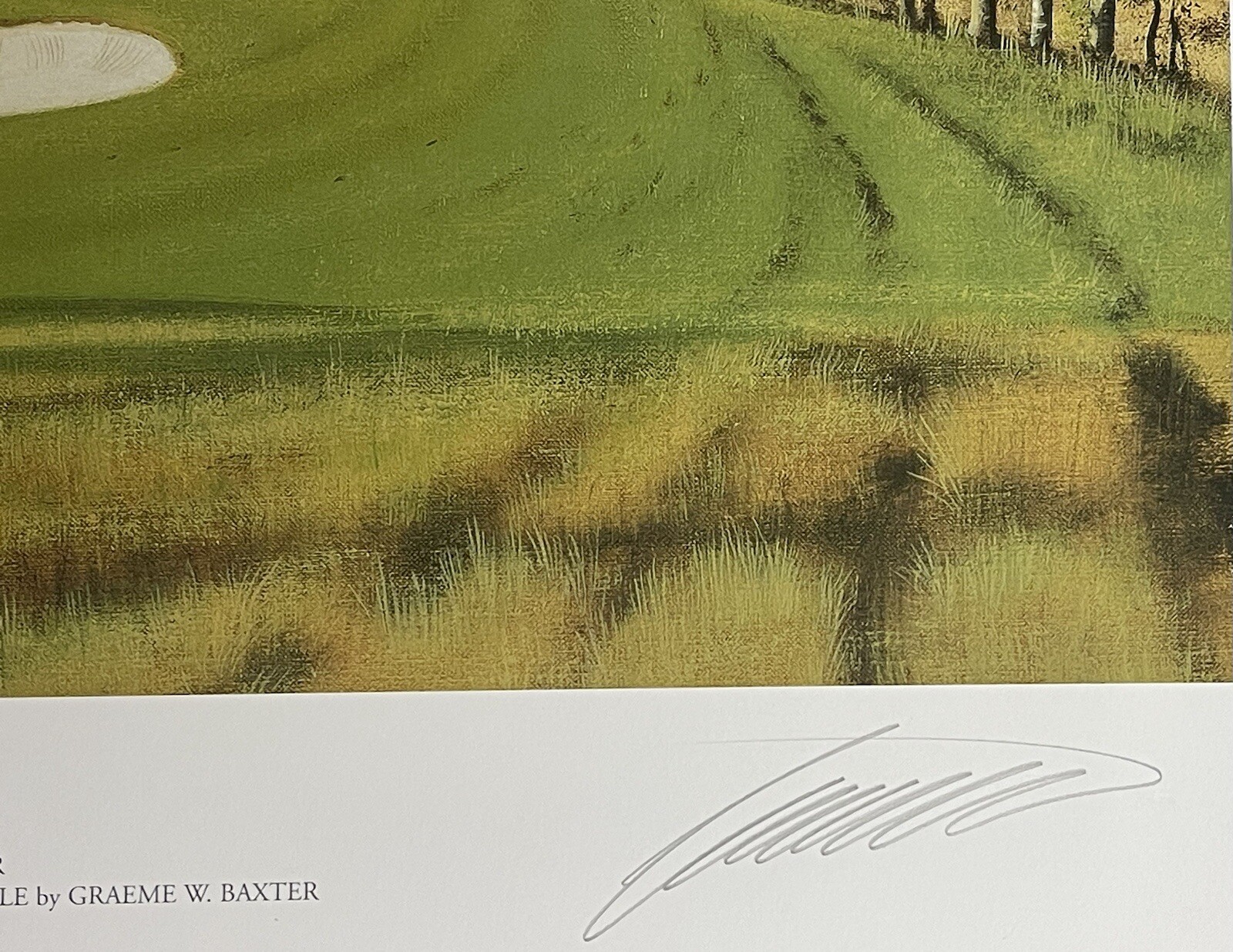 Graeme Baxter Signed And Embossed Ltd Edition Golf Print Of 250 Celtic ...
