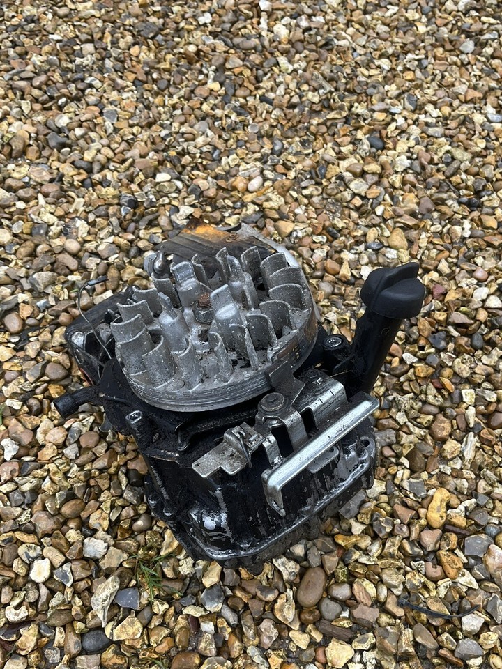 Hayter Harrier 48 Pro 496h Petrol Lawnmower Briggs Stratton Ready Start ...