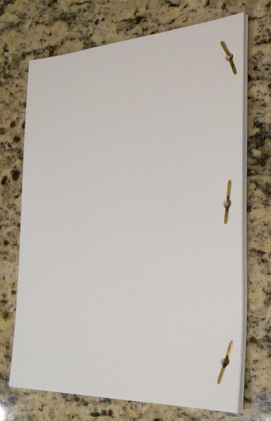 NEW GOSSIP GIRL COPY OF SIGNED AUTOGRAPHED PILOT SCRIPT CHUCK BASS ...