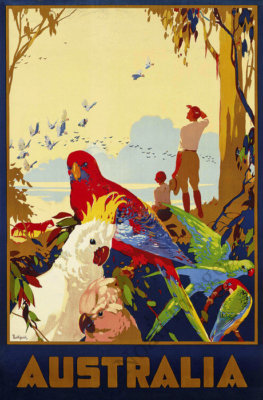 Australia Parrots Birds vintage tourism promo travel poster repro 16x24 ...