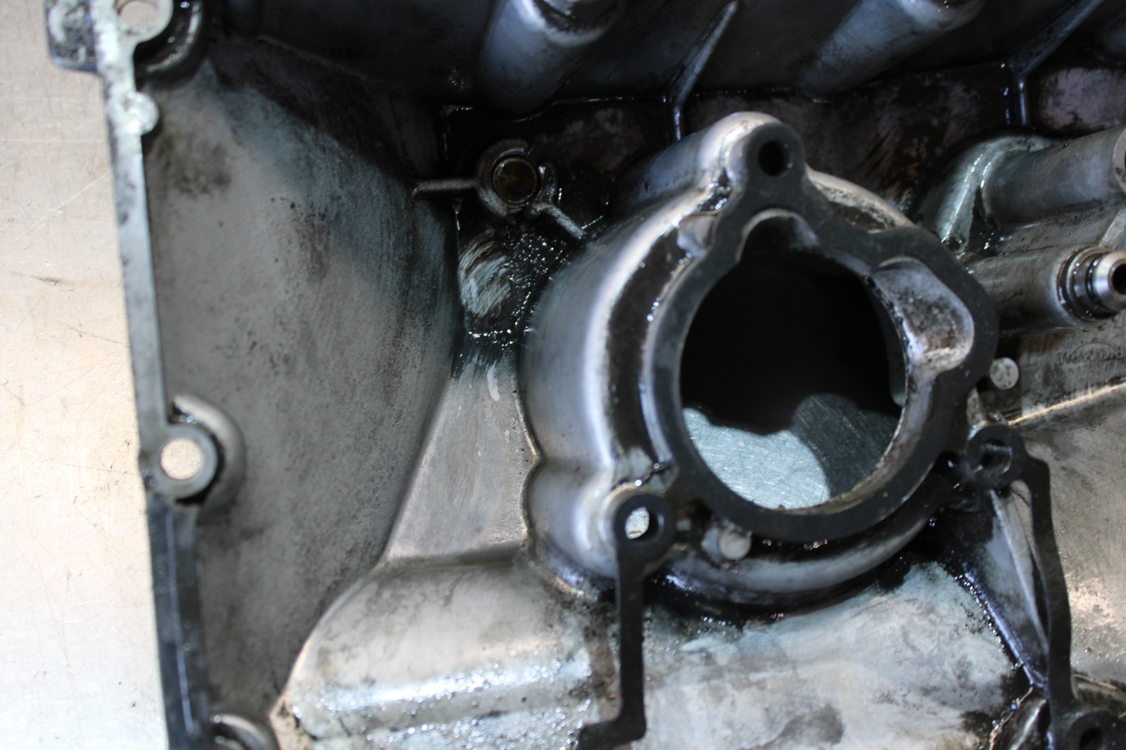 2001 Triumph Daytona 955i Oil Pan T1234567 | eBay
