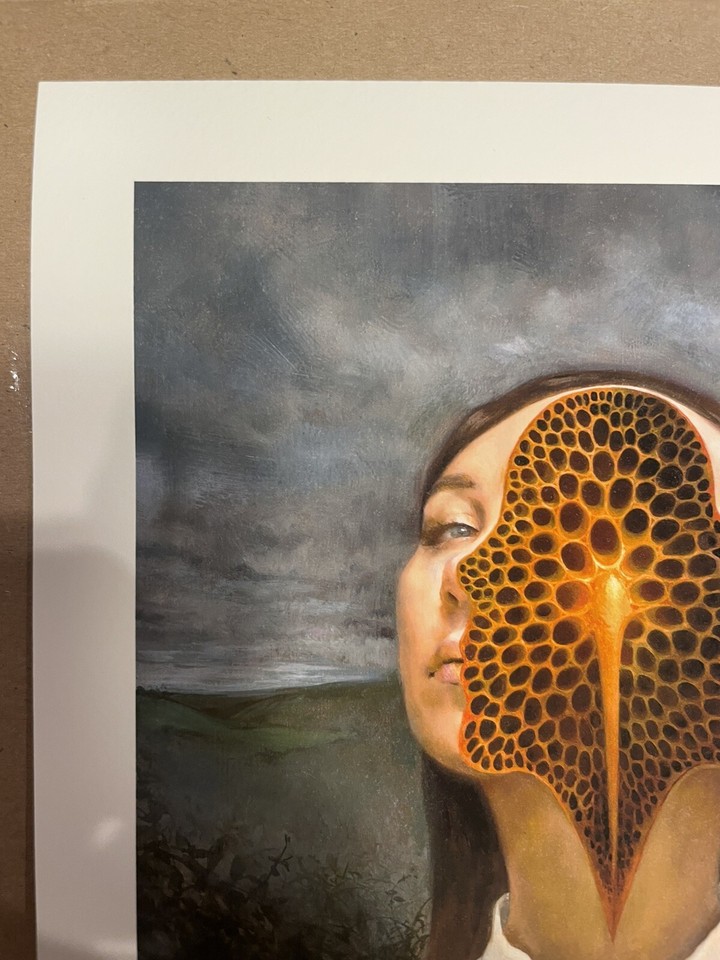 Miles Johnston Hivemind Print Tool Chicago | eBay