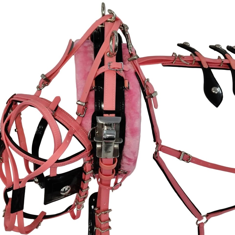 Quick Hitch Horse Driving Harness PVC Pink Black Cob Pony Shet Mini ...