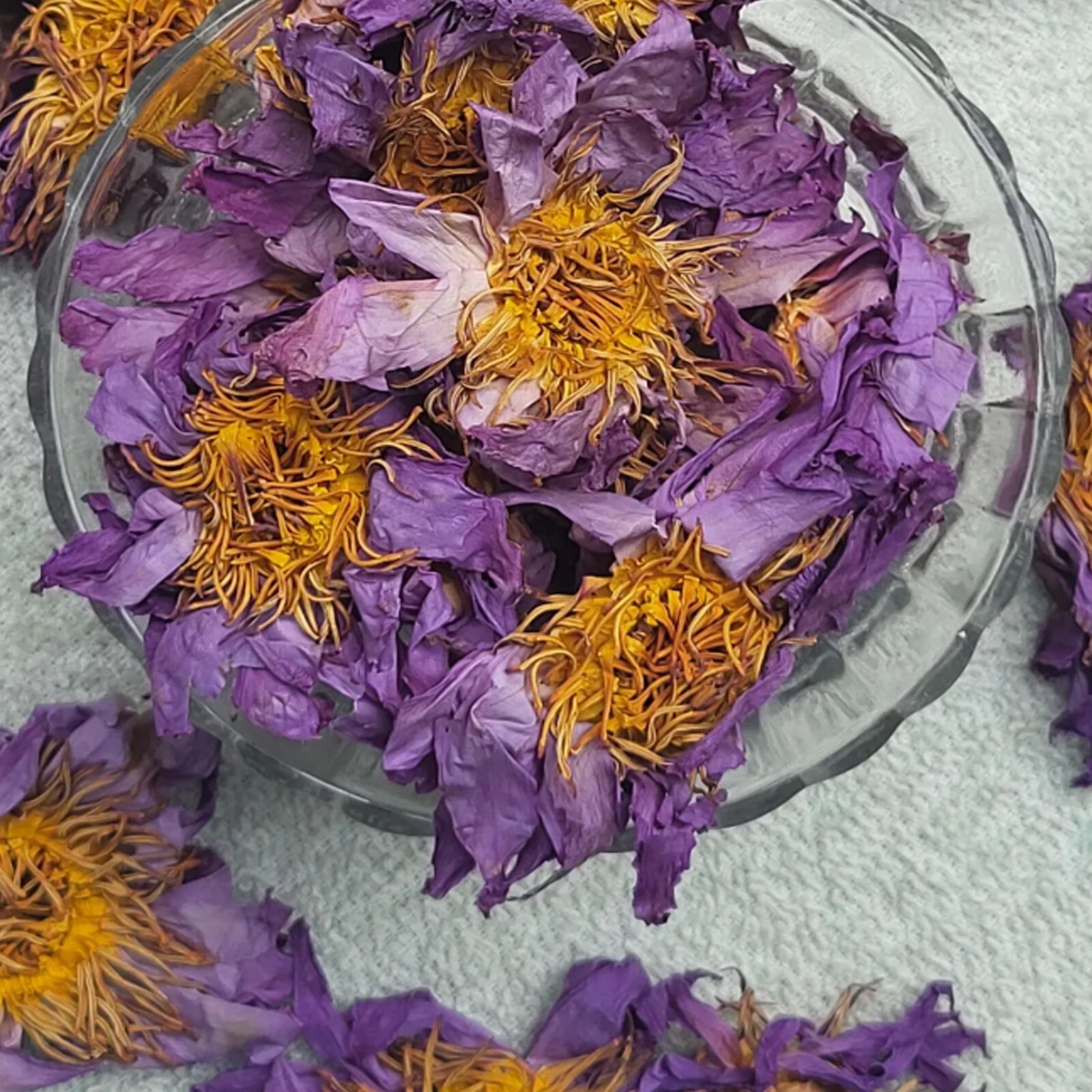 blue lotus,blue lotus flower,blue lotus tea,dream tea,egyptian blue ...