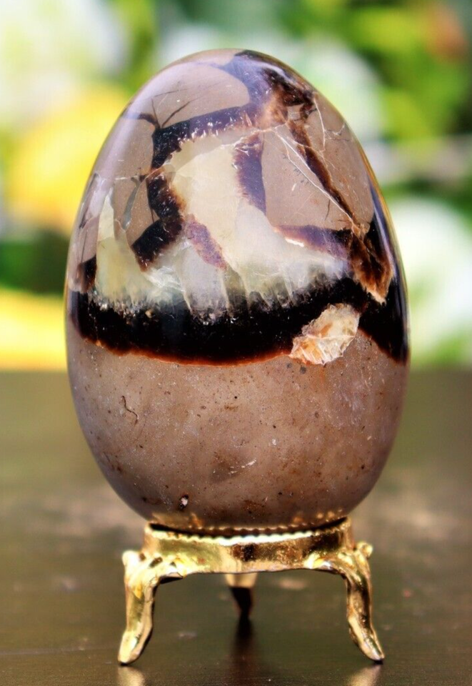 70MM Yellow Septarian Egg Septaria Septeyre Chakra Crystal Healing ...
