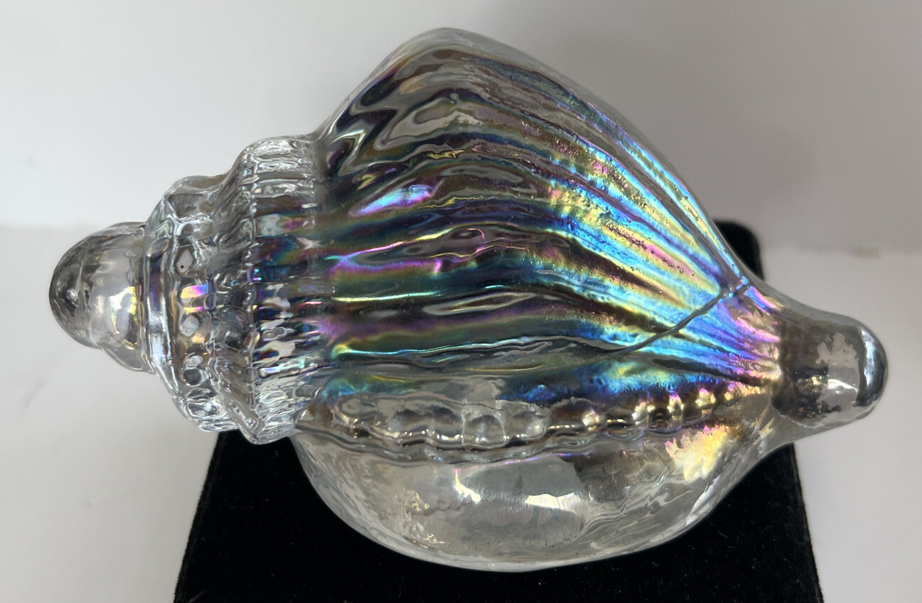 Large 5” Conch Dichroic Shell Paperweight MINT | eBay