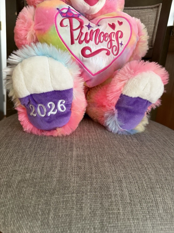 Large Sweetheart Princess Rainbow Teddy Bear Plush 21" Valentine’s Day ...