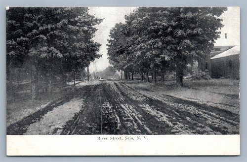 SCIO NY RIVER STREET ANTIQUE POSTCARD | eBay