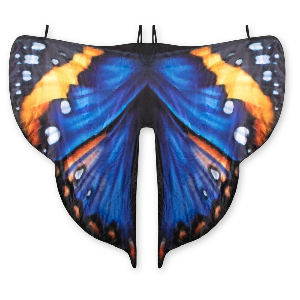Dress Up America Butterfly Costume for Women - Adult Butterfly Wings ...