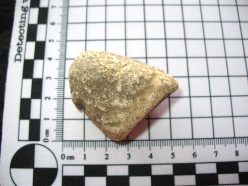 Pleistocene ice age Alligator coprolite fossil poop Florida unusual #1 ...