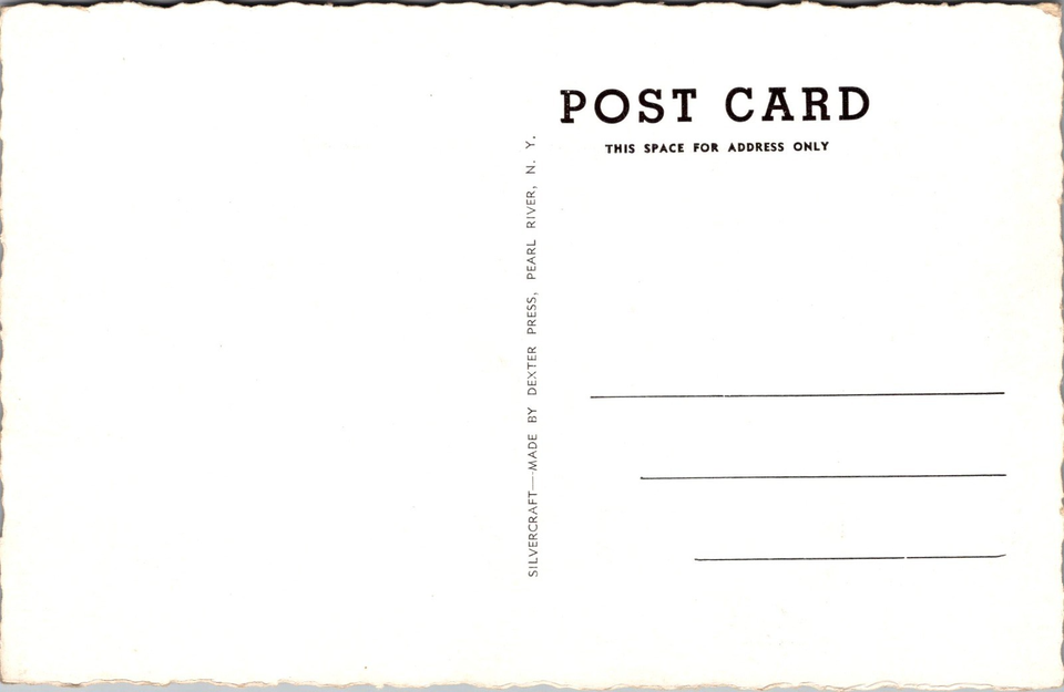 Bullet Riddled Tree Bull Run Manassas Virginia Vintage Postcard #978 | eBay