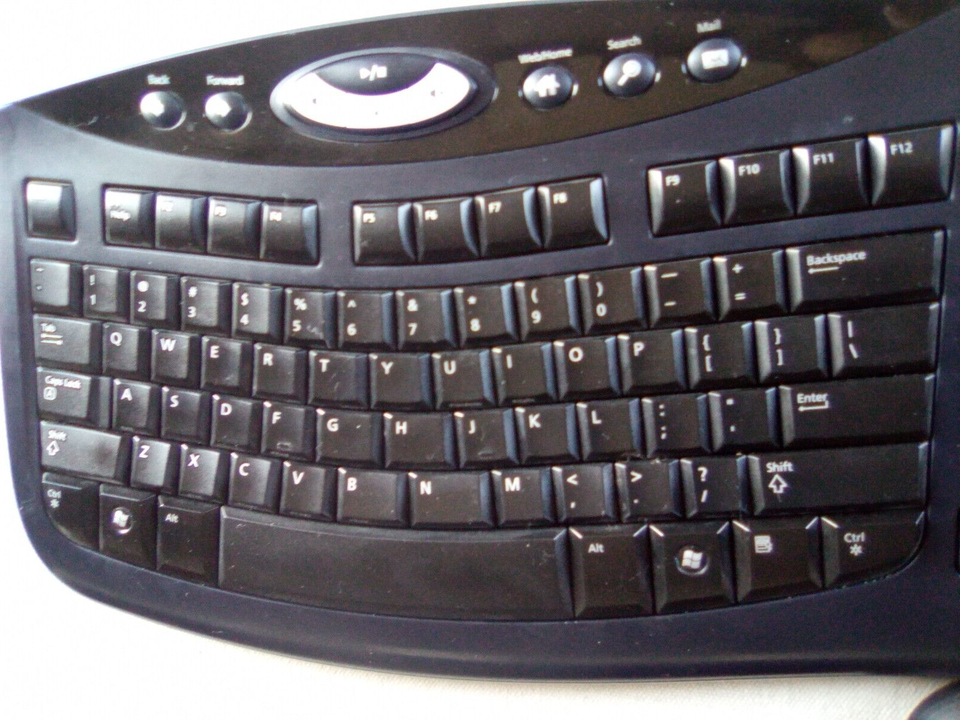 Microsoft Comfort Curve Keyboard 2000 v1.0 KU-0459 Wired USB Works has ...