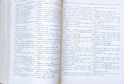 РУССКО-АРАБСКИЙ СЛОВАРЬ RUSSIAN-ARABIC DICTIONARY 42 000 СЛОВ | eBay