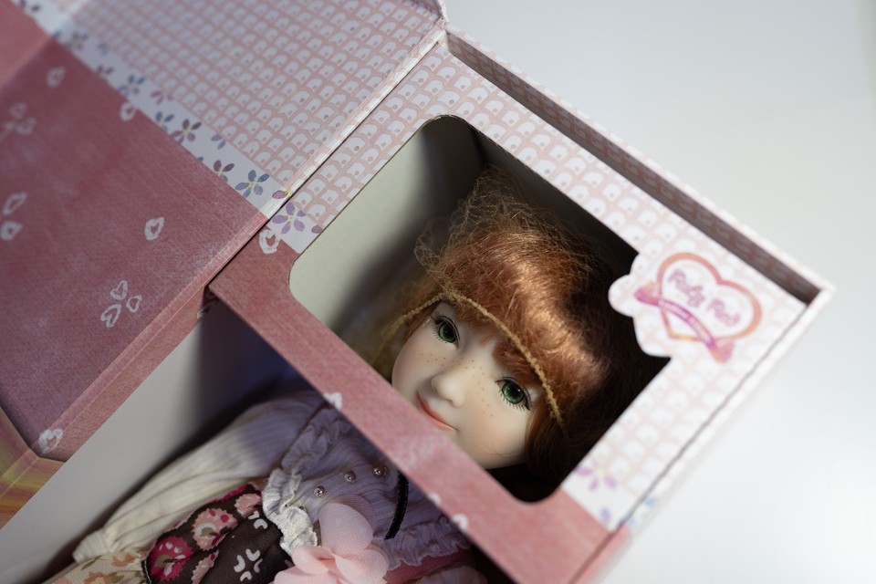 Ruby Red Fashion Friends Fernanda limited edition 2021 with authenticity card | eBay