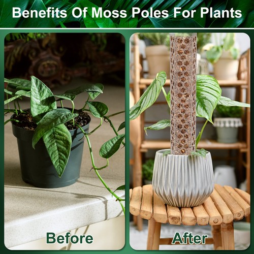 4Pcs Moss Pole 15.7" Plastic Plant Pole Stick Support Weather Resistant ...