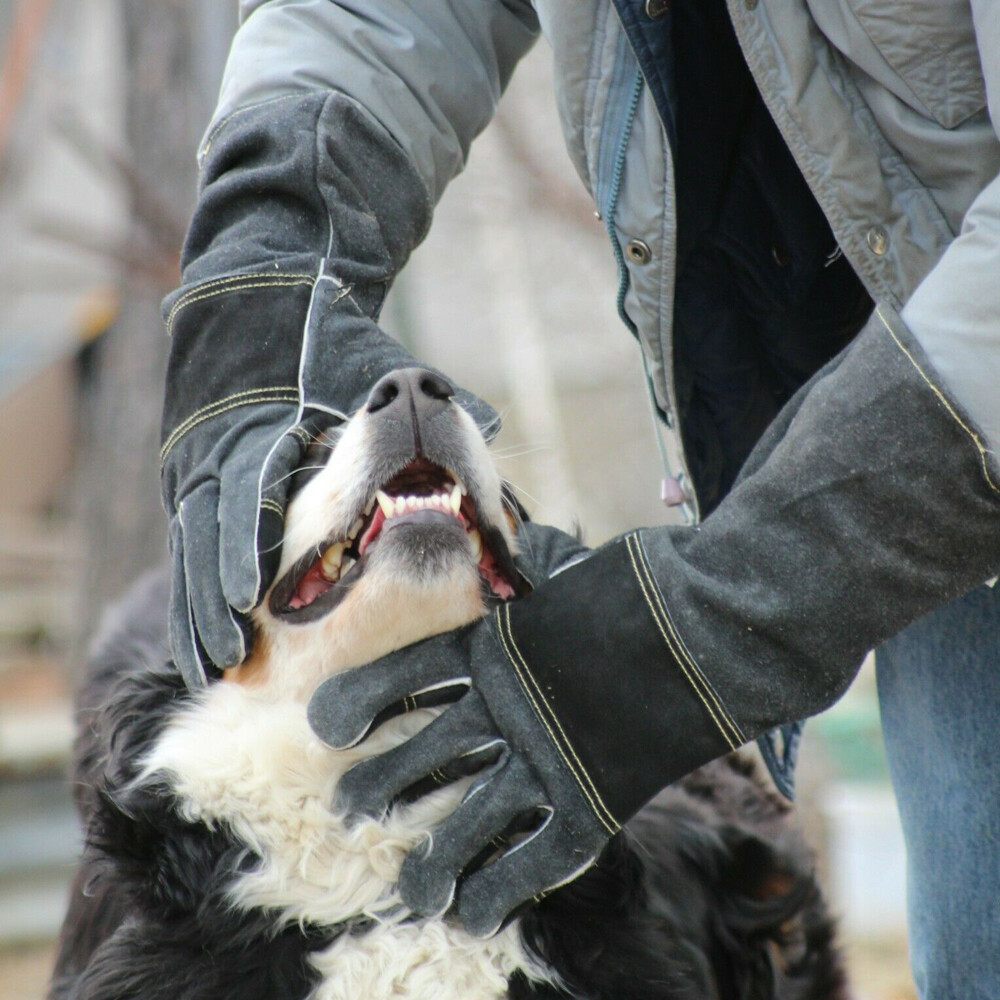 Training Anti-Bite Gloves Animal Handling Chew Protective Gloves Dog ...