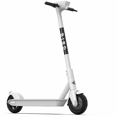 Bird One Electric Scooter - Dove White (591W) for sale online | eBay